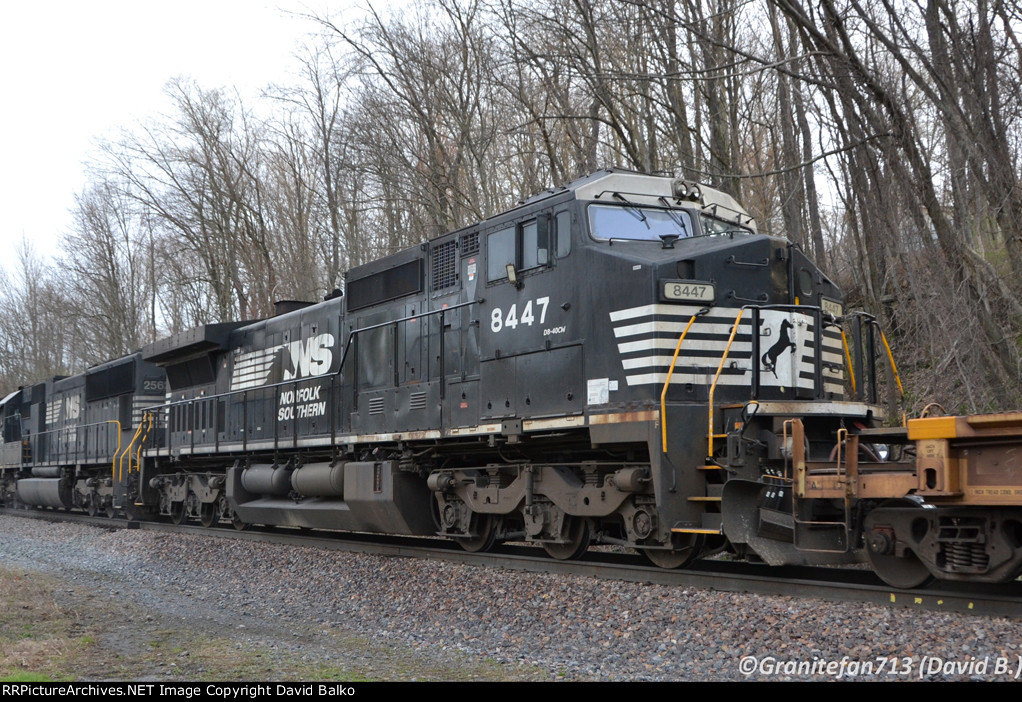 NS 8447